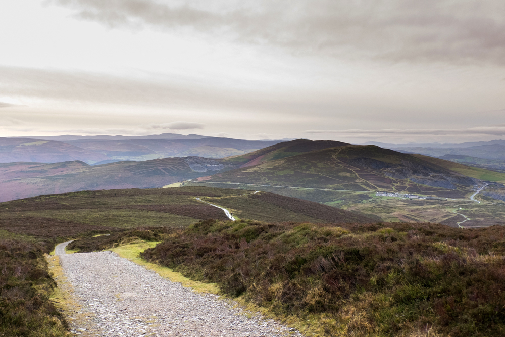 Coed Llandegla and Cyrn y Brain – moel a mynydd – hill & mountain